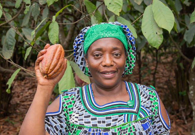 Growing cocoa in Liberia: Challenges and opportunities - ACET