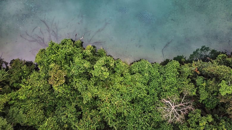 Climate Finance and Sustainable Development in Africa - ACET